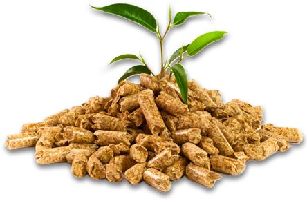 que-es-biomasa – EMPRESOL